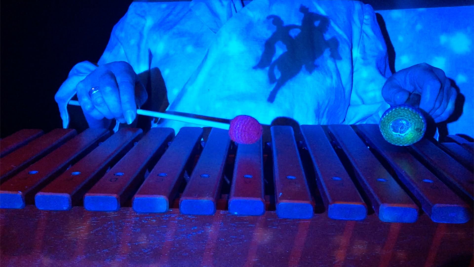 The Adventures of Prince Achmed – Screen Argyll